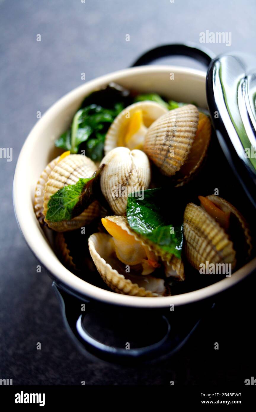 Olive oil plant pot hi-res stock photography and images - Alamy