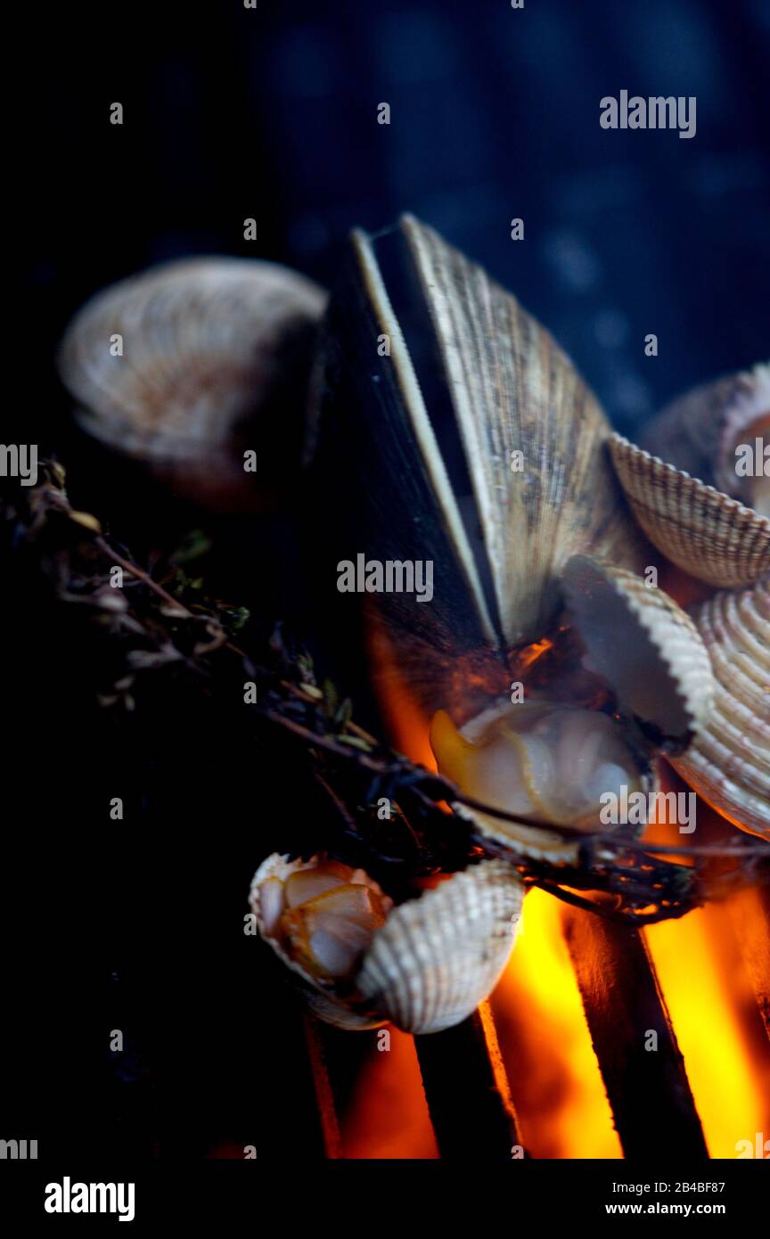 Grilled shellfish with thyme Stock Photo - Alamy