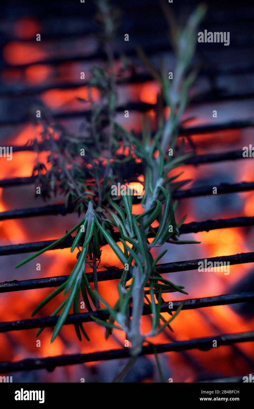 Preparation of embers Stock Photo - Alamy