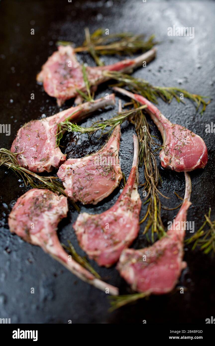 Plancha, lamb chop, rosemary Stock Photo - Alamy