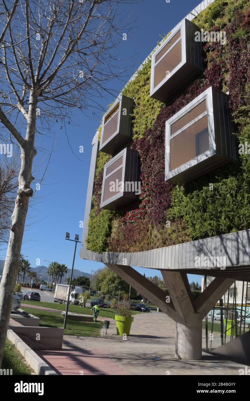 Modern building with windows and vegetation walls. Green environment ...