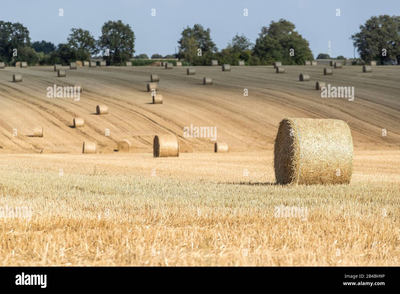Openfield hi-res stock photography and images - Alamy