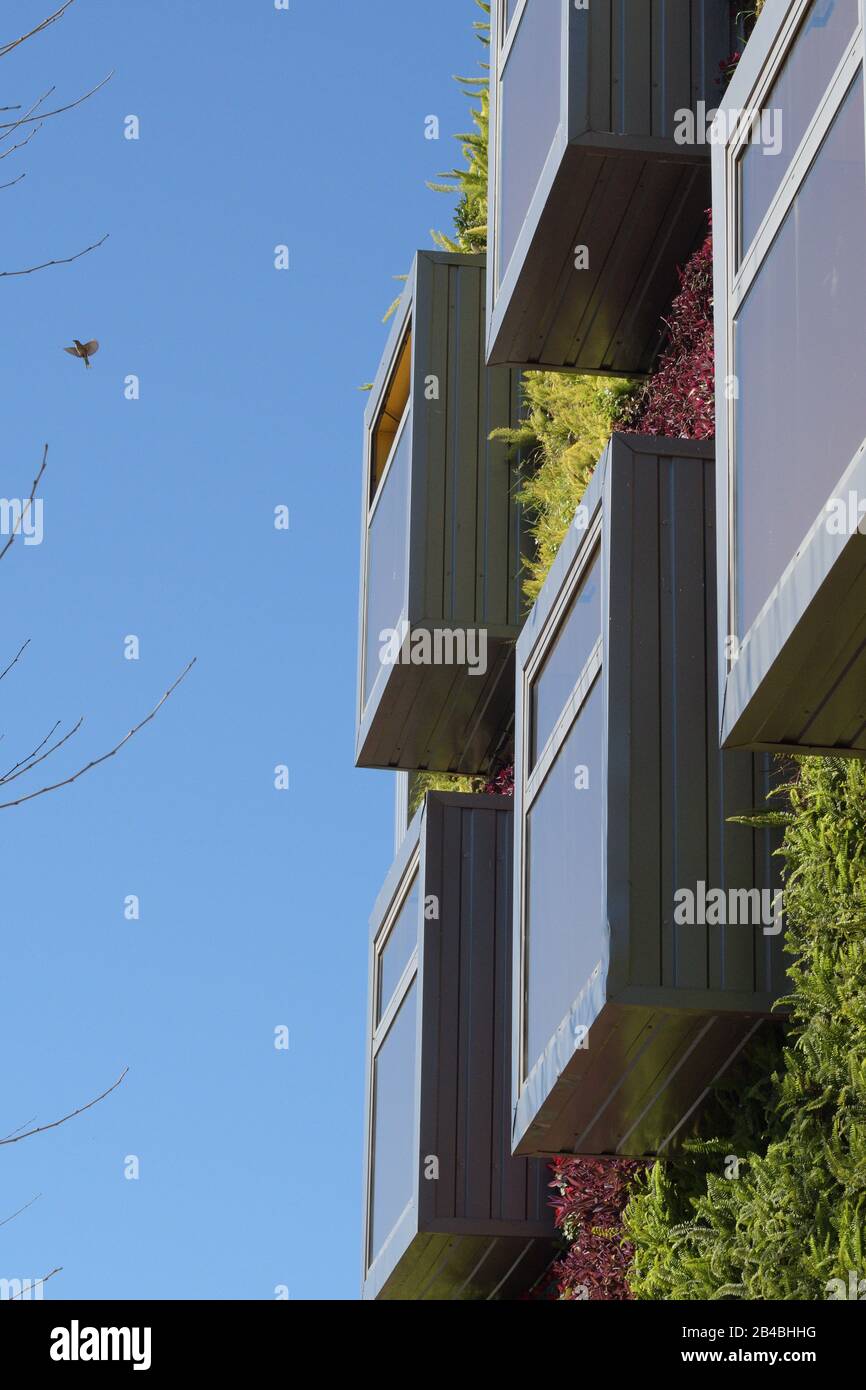 Windows in modern building with vegetation walls. Green environment ...