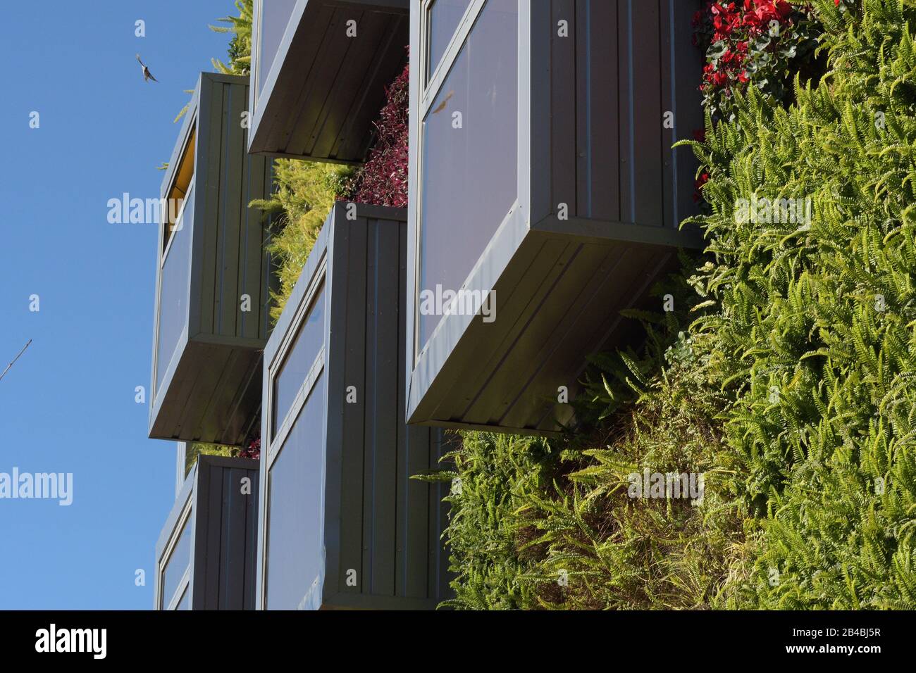 Windows in building with vegetation walls. Green environment Stock ...
