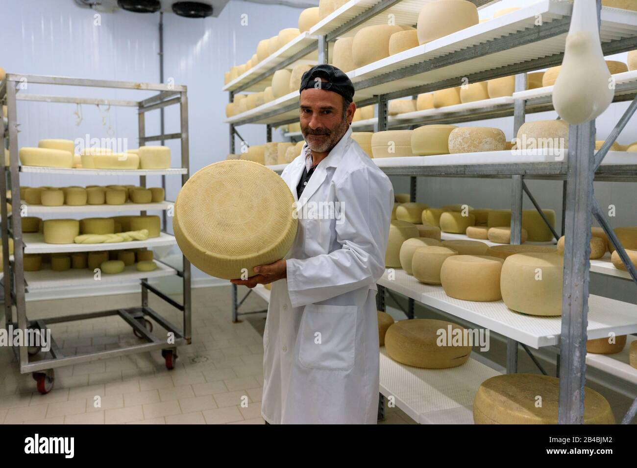Italy, Sardinia, province of Oristano, Gonnostramatza, Fattoria Cuscusa ...