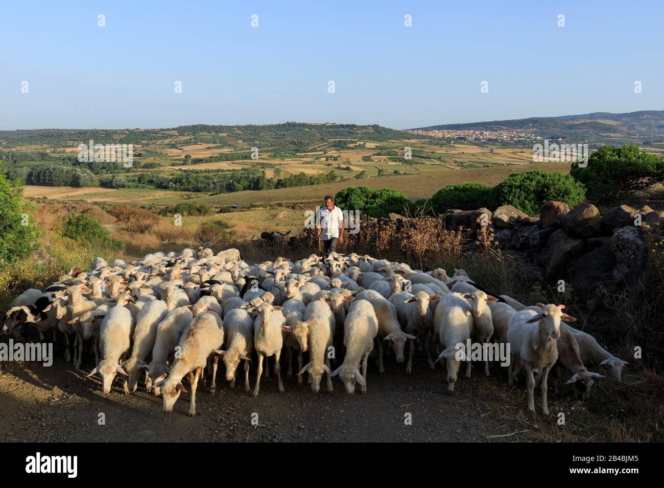 Gonnostramatza hi-res stock photography and images - Alamy