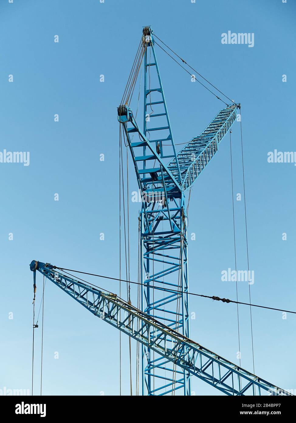 Two blue cranes over clean blue sky background Stock Photo - Alamy