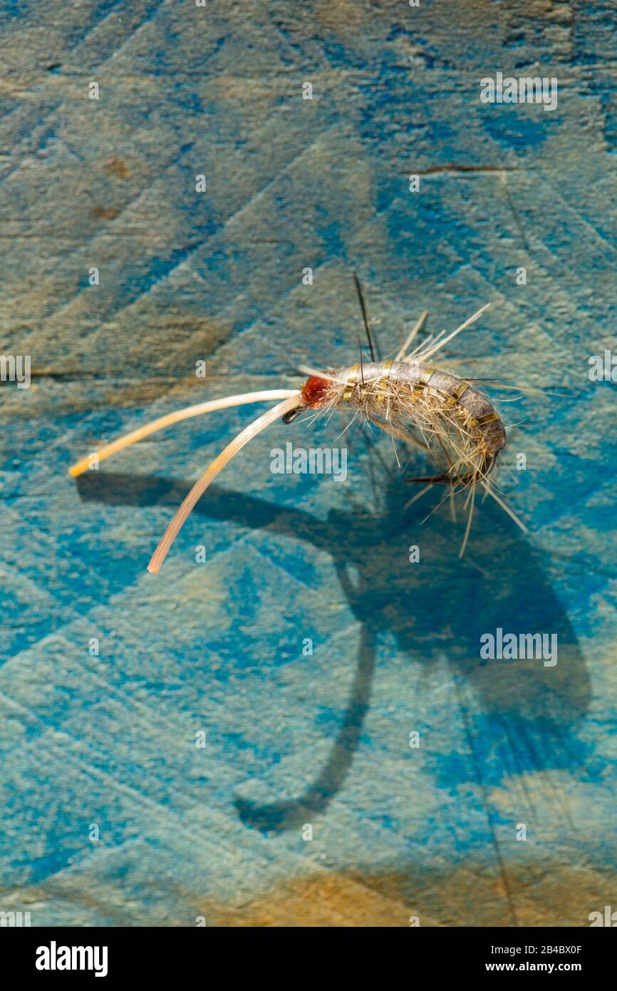 Mullet fly fishing hi-res stock photography and images - Alamy