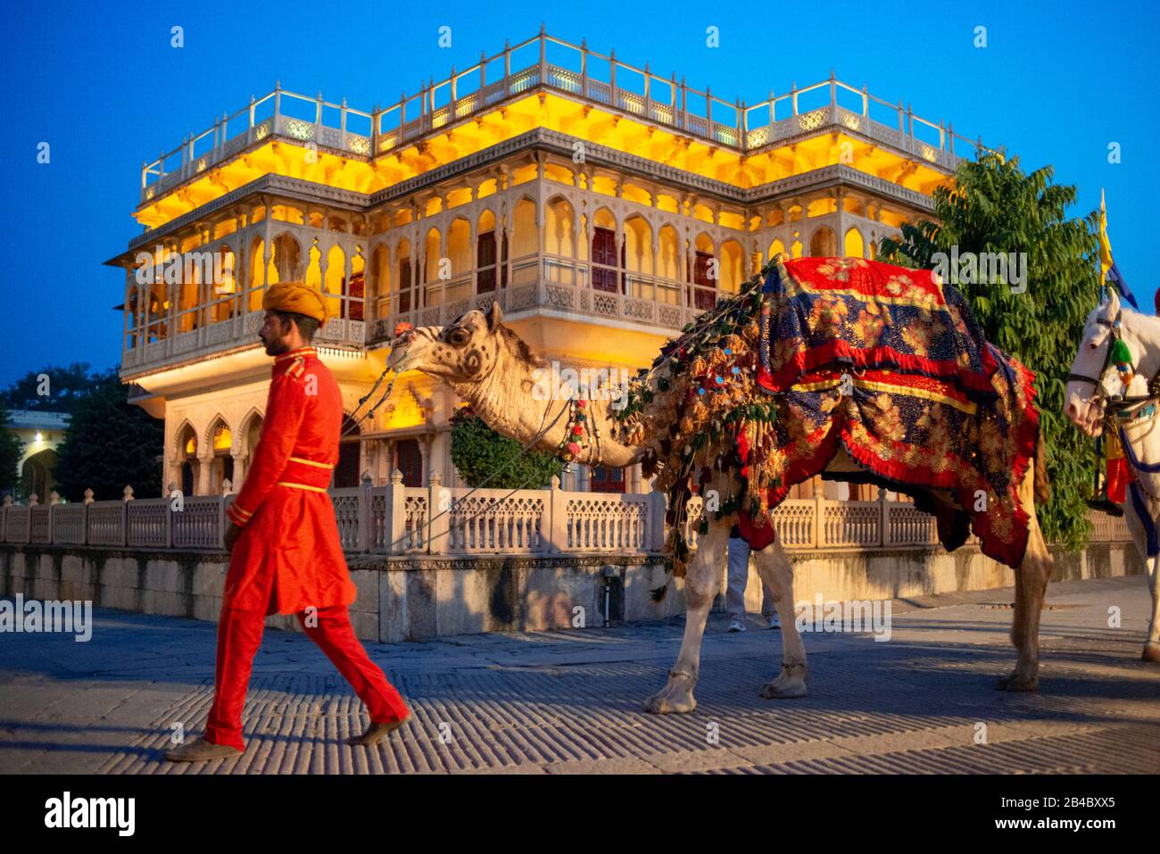 India maharaja express hi-res stock photography and images - Alamy