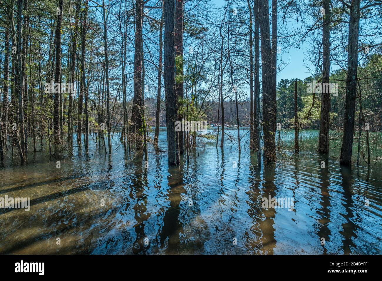 Lake lanier flood hi-res stock photography and images - Alamy