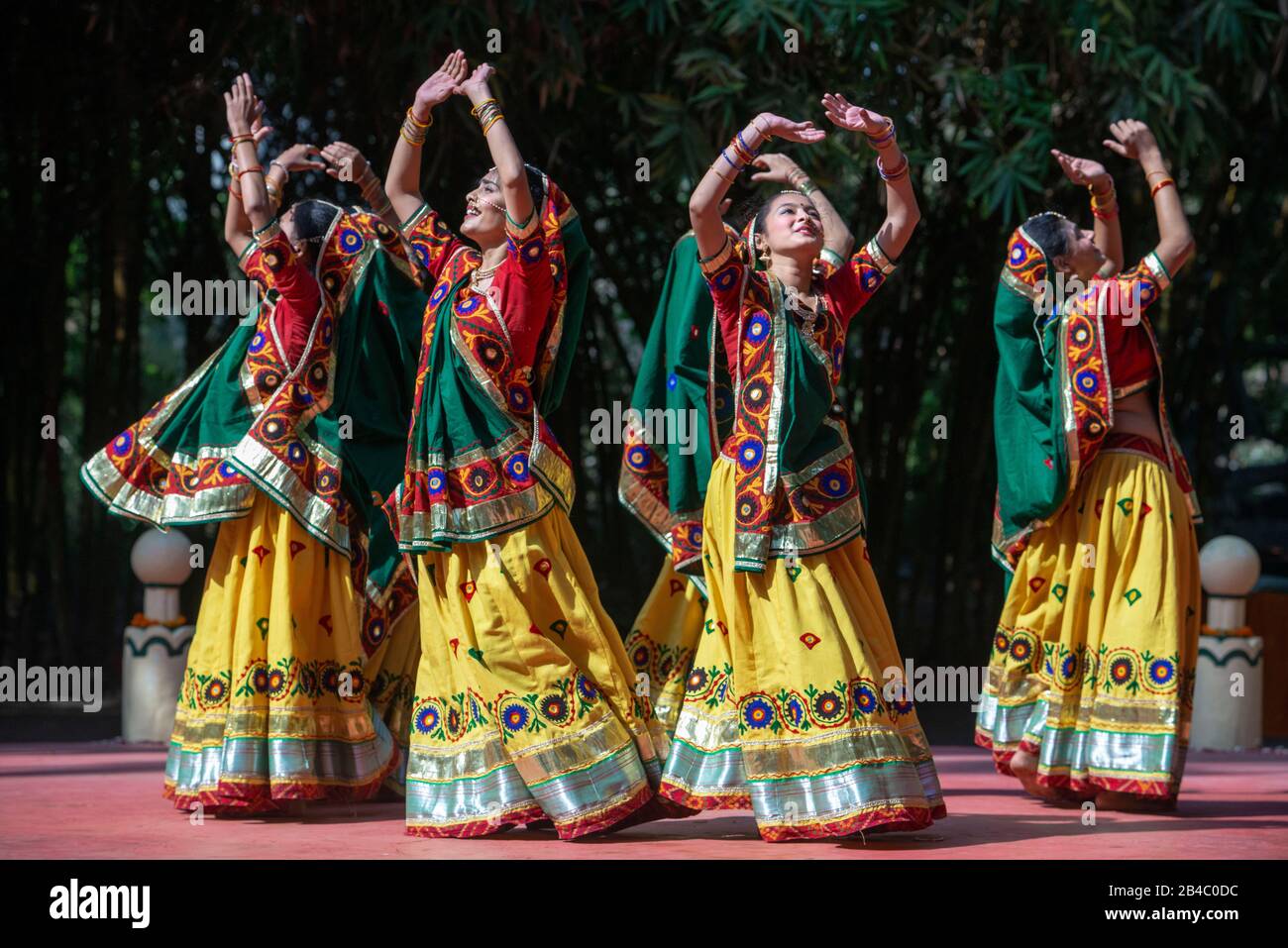 Traditional Dhamal dance ceremony and music at Garden Palace heritage ...