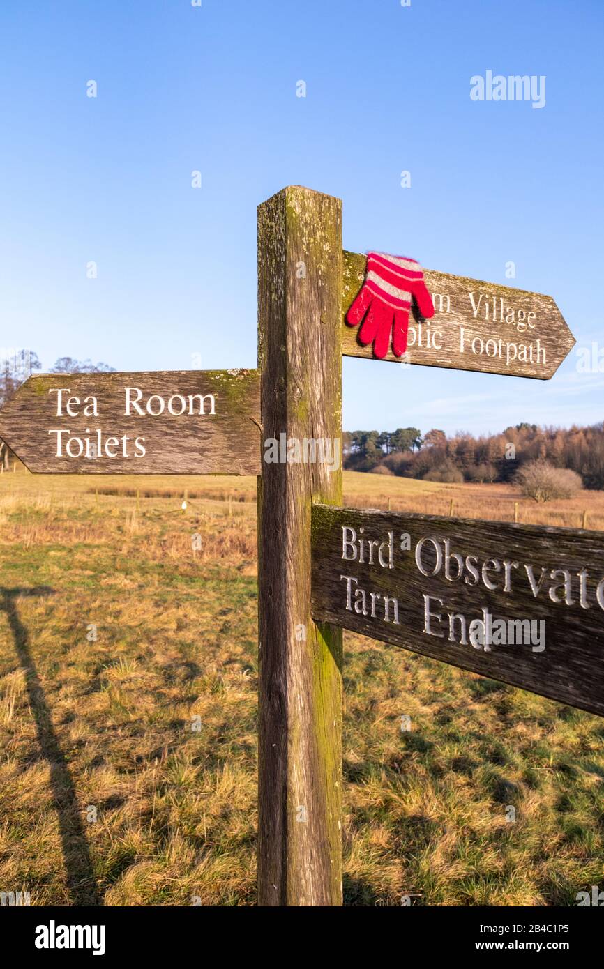 Lost loss hi-res stock photography and images - Alamy