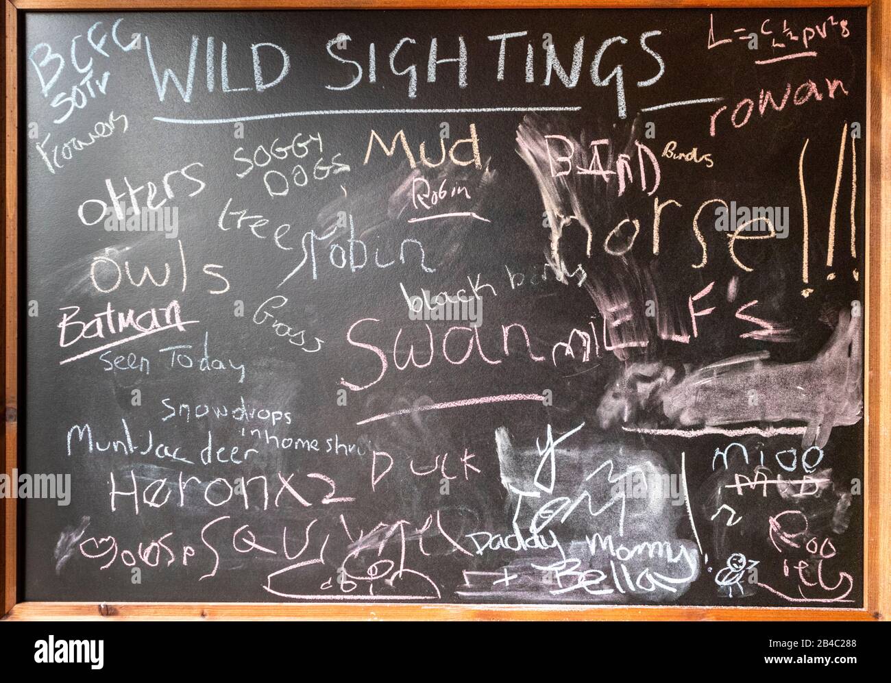 Natural sighting sightings hi-res stock photography and images - Alamy