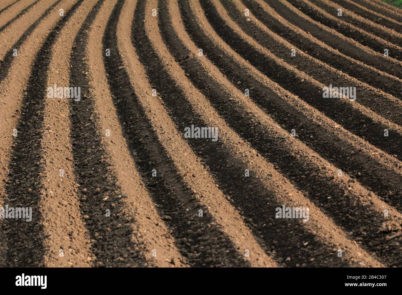 Parallel rows hi-res stock photography and images - Alamy