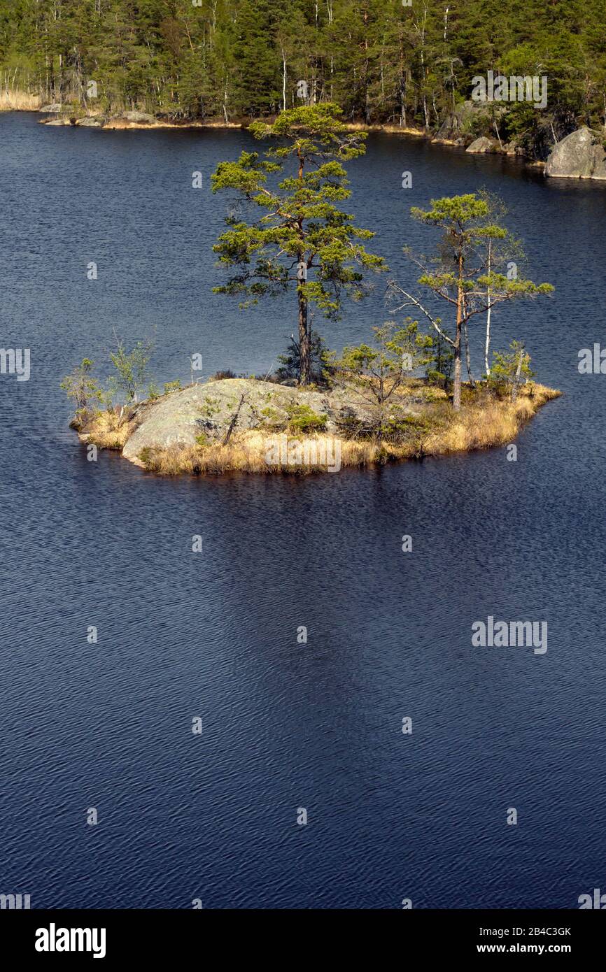 Tyresta national park hi-res stock photography and images - Alamy