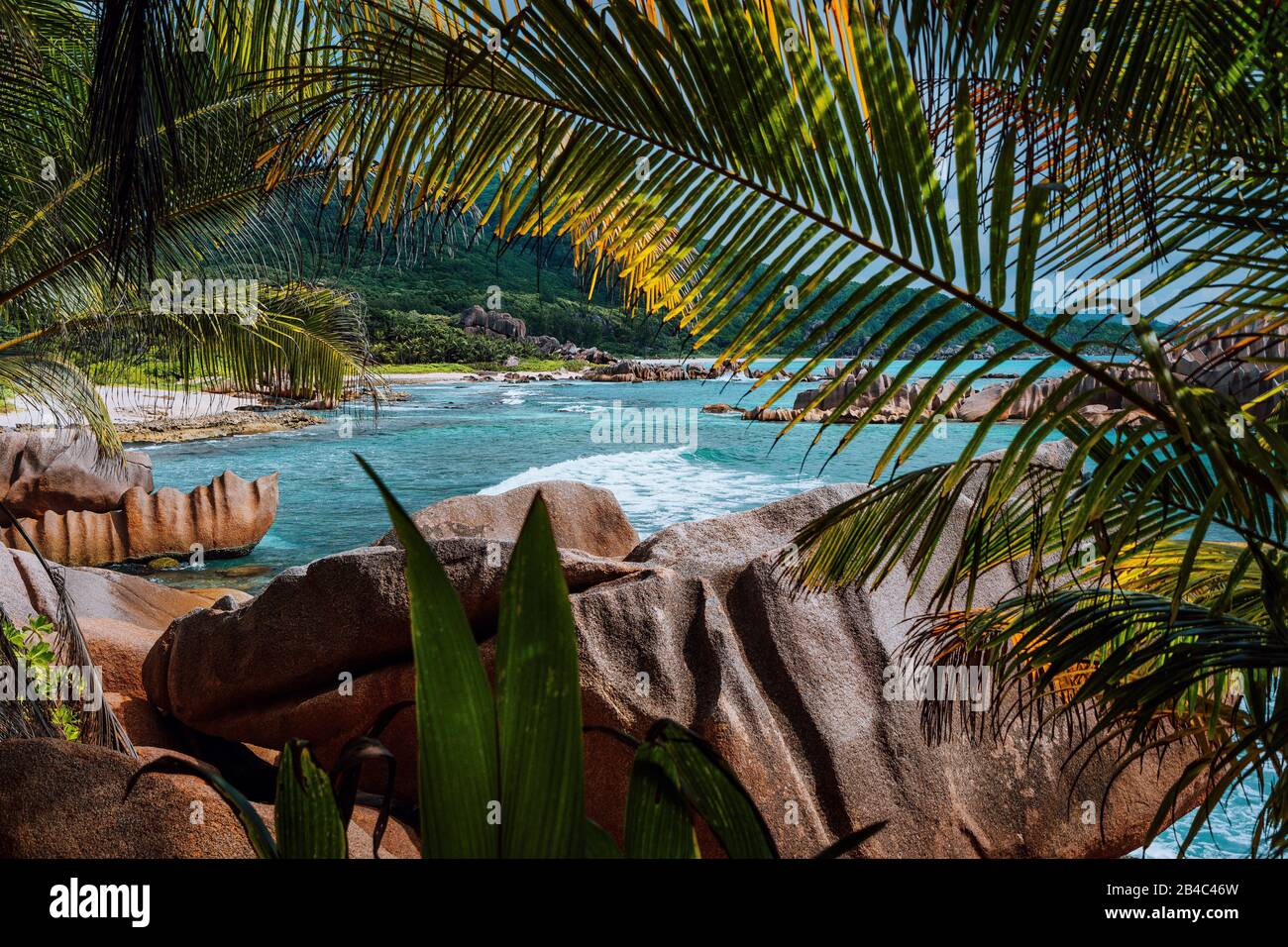 Tropical secluded beach framed by nature foliage on the trekking tour ...
