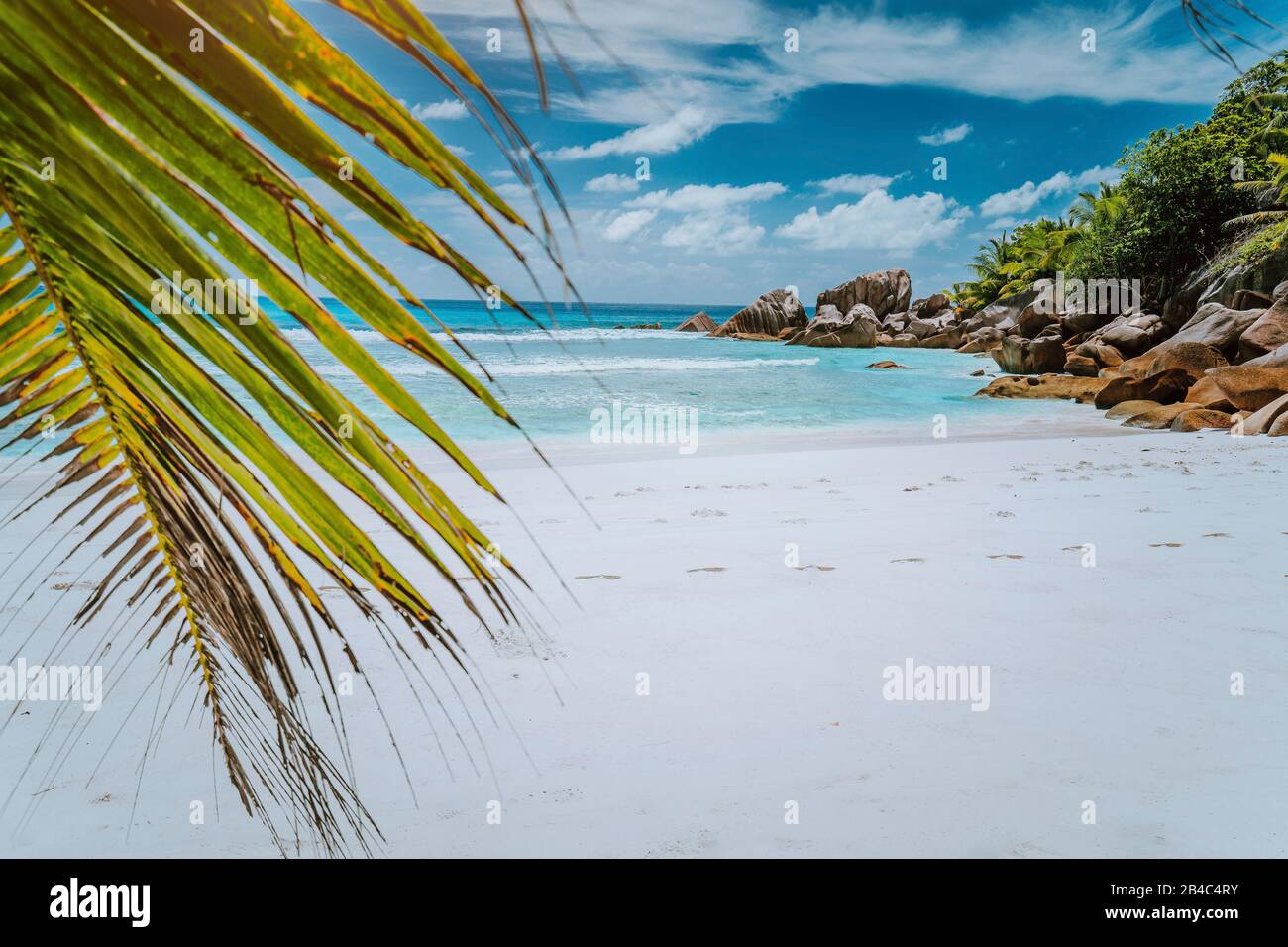 tropical Island Seychelles, white beach with granit rocks and palm tree ...