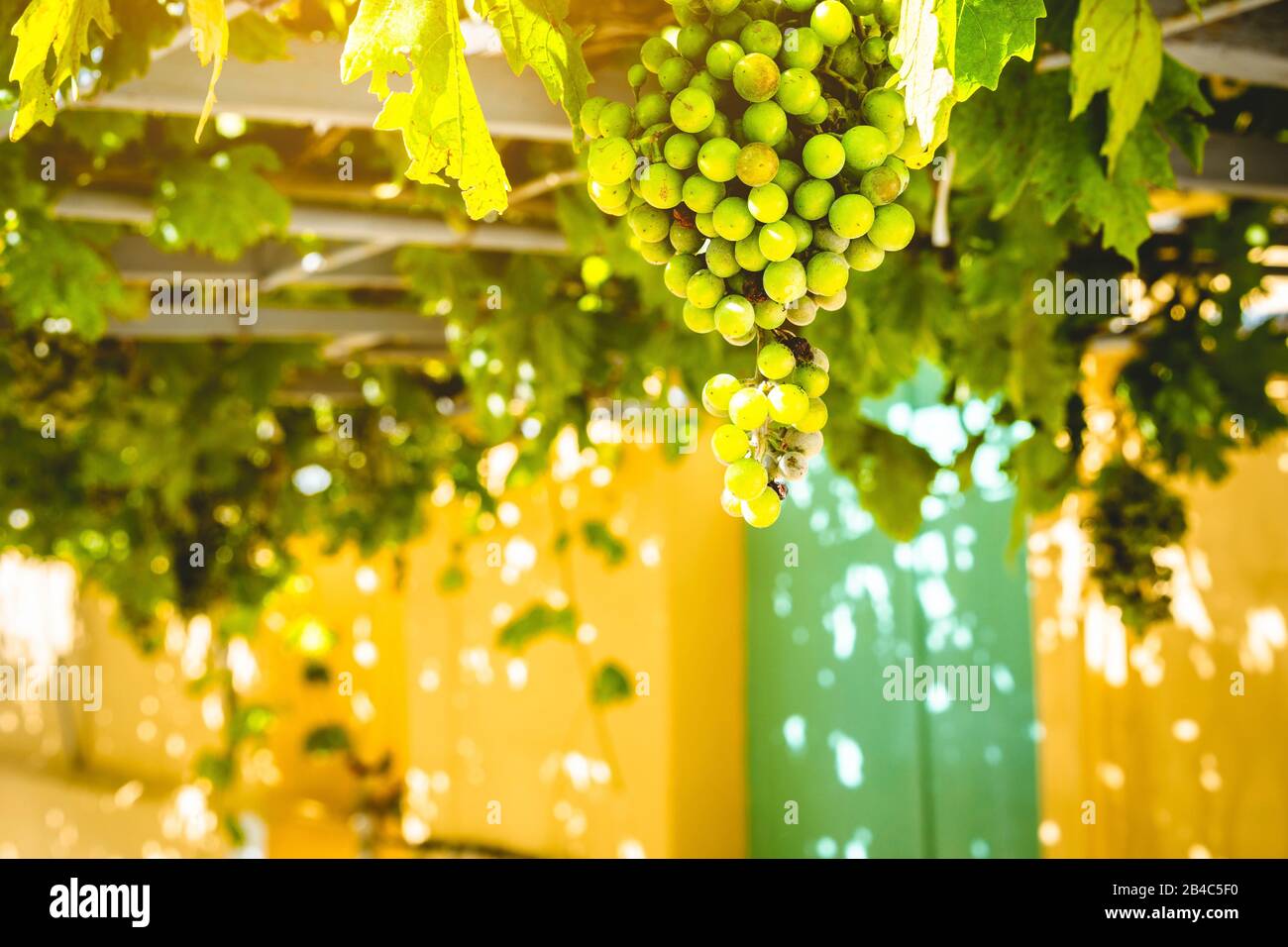 Overhead shots hi-res stock photography and images - Alamy