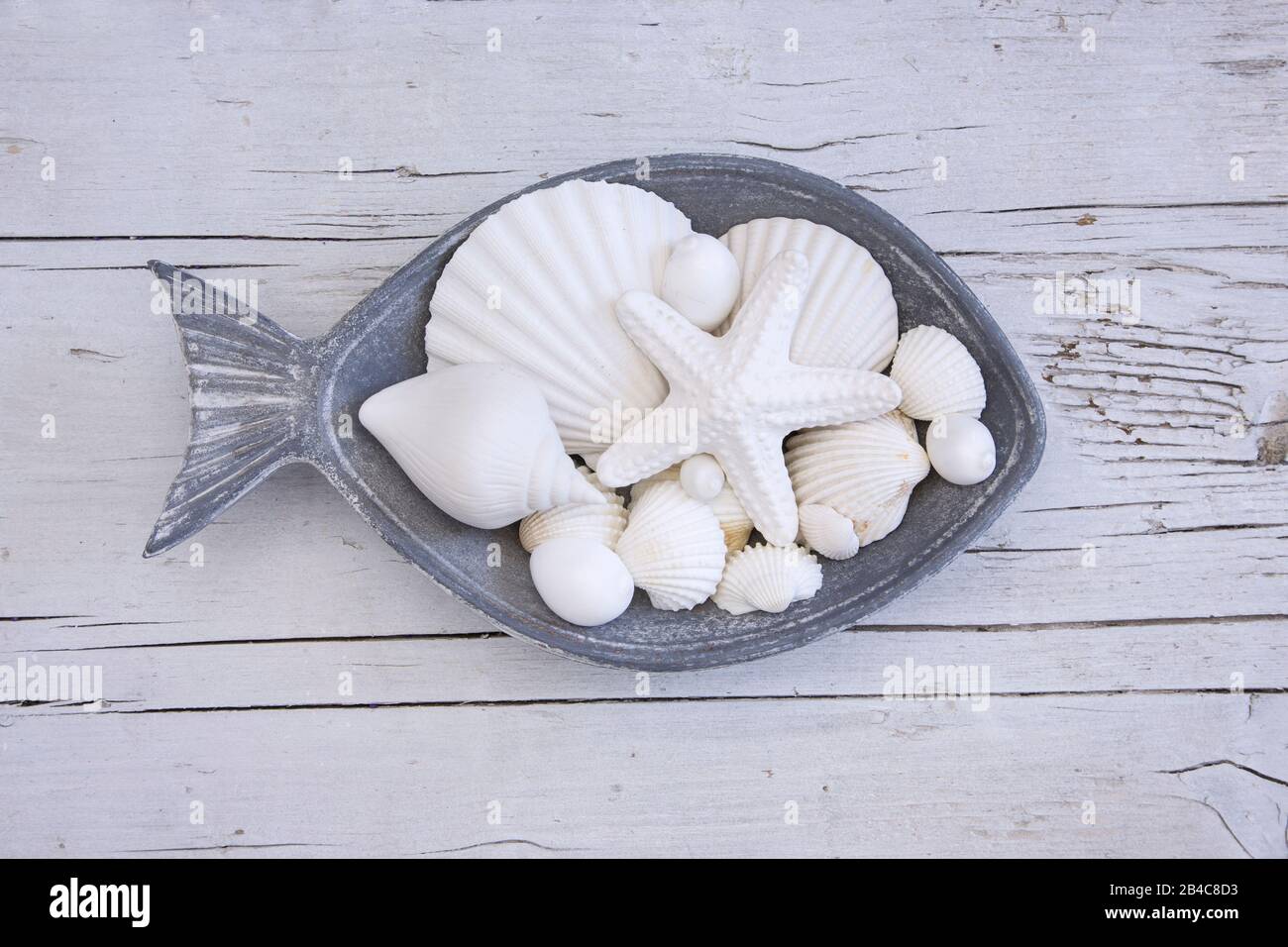 fish plate with decorative shells and starfish maritime still life ...