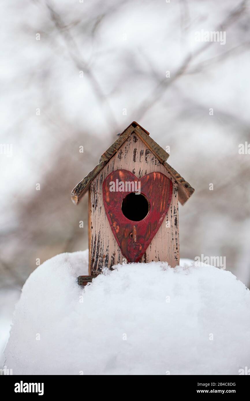 Bird on birdhouse hi-res stock photography and images - Alamy