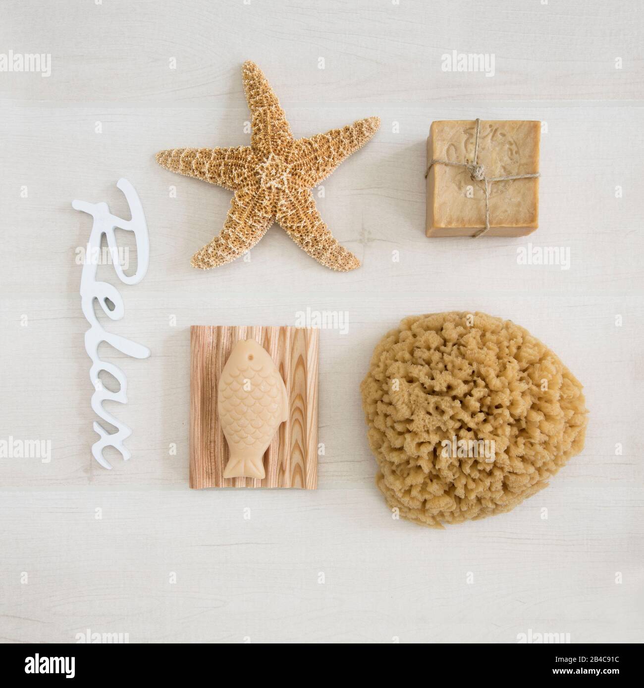 maritime still life with maritime spa still life with natural sponge ...