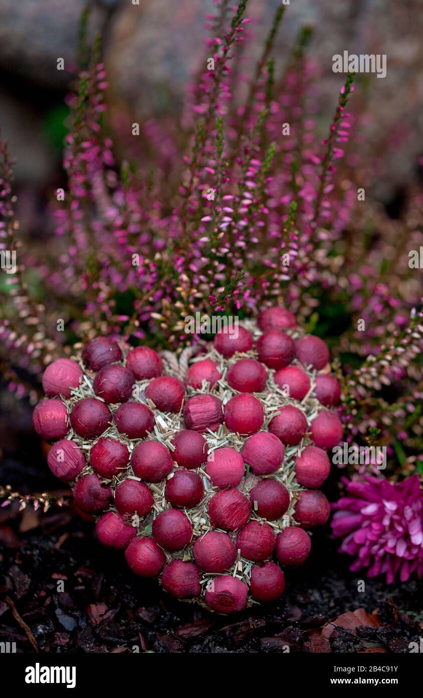 Heather And Berries High Resolution Stock Photography and Images - Alamy