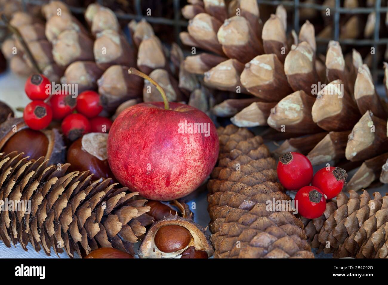rustic winter still life with apples and pine cones Stock Photo - Alamy