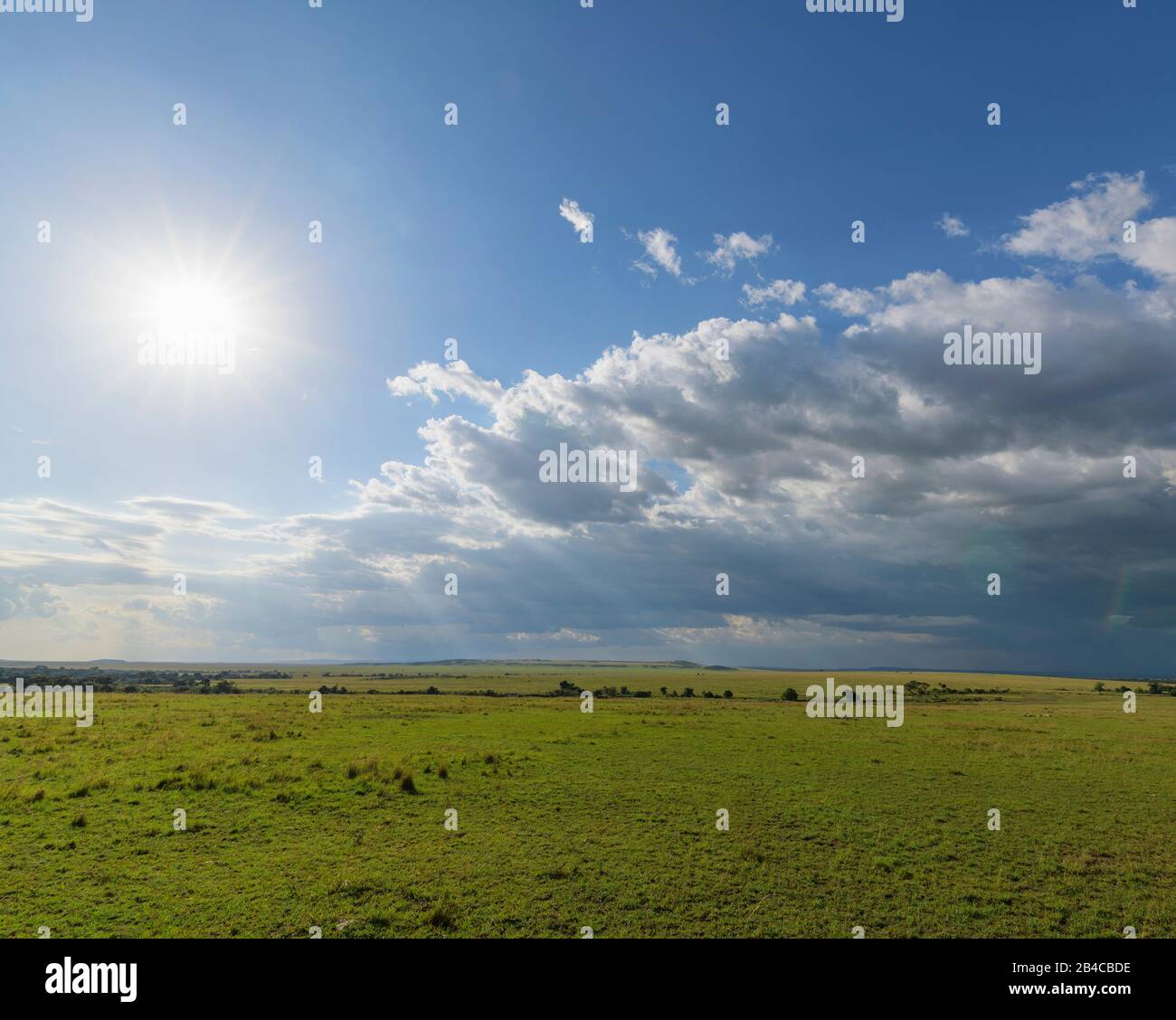 Typical savannah landscape hi-res stock photography and images - Alamy