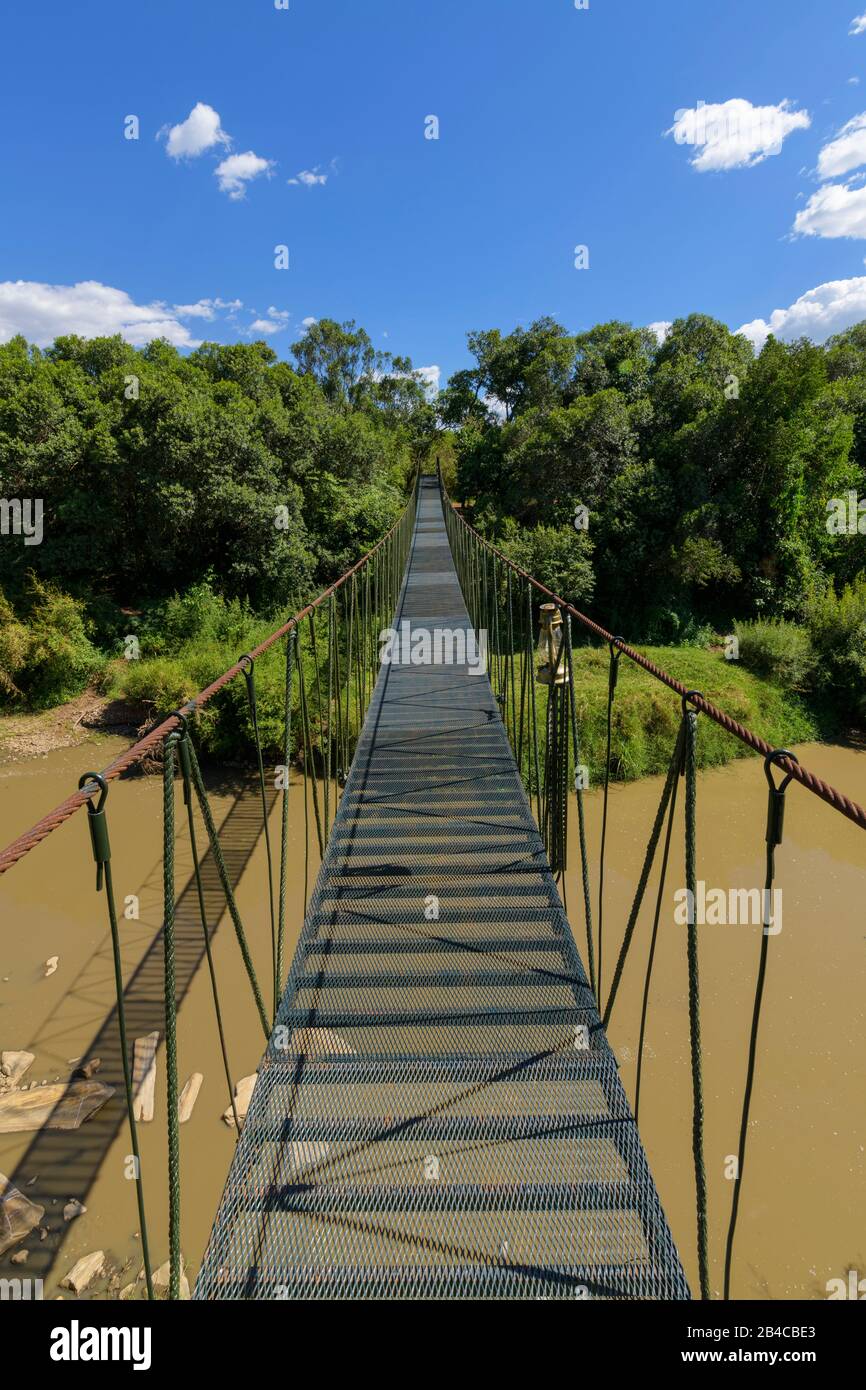 Suspension bridge, Olare Orok river, Masai Mara National Reserve, Kenya ...
