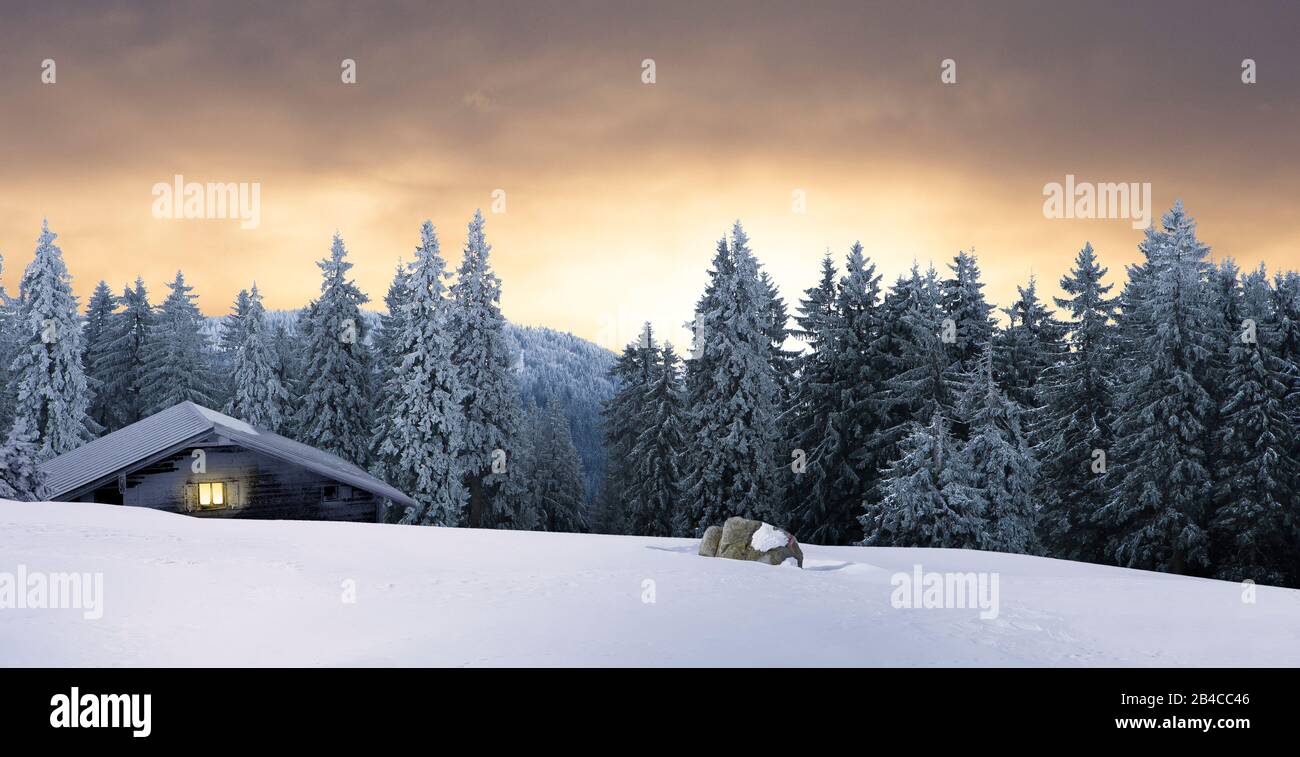 Log cabin with illuminated window in winter forest at night Stock Photo ...