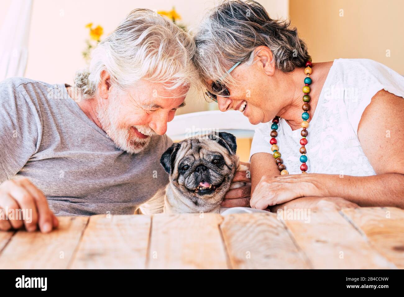 Happy elderly lady with dog hi-res stock photography and images - Alamy