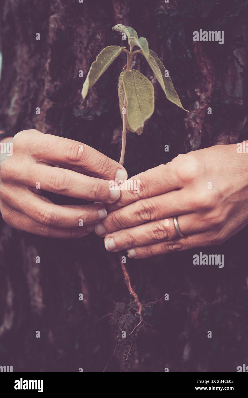 Plant a tree save the world hi-res stock photography and images - Alamy