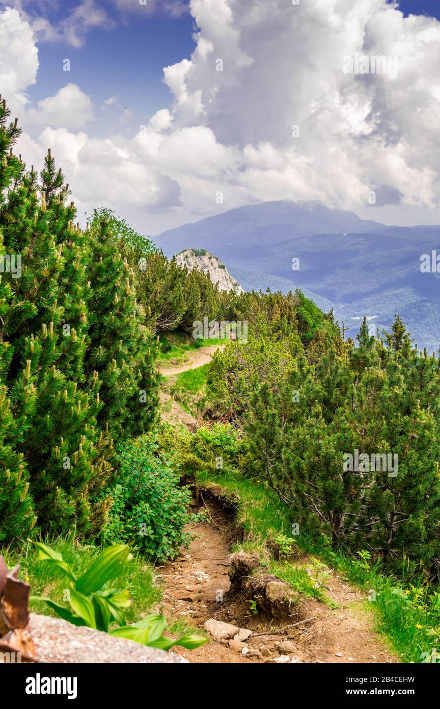 Beautiful mountain path in a beautiful landscape Stock Photo - Alamy