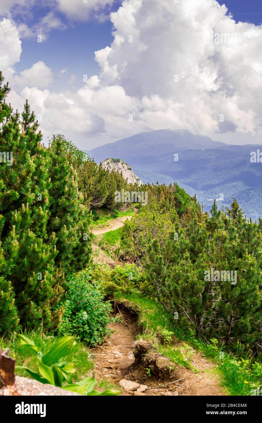 Beautiful mountain path in a beautiful landscape Stock Photo - Alamy