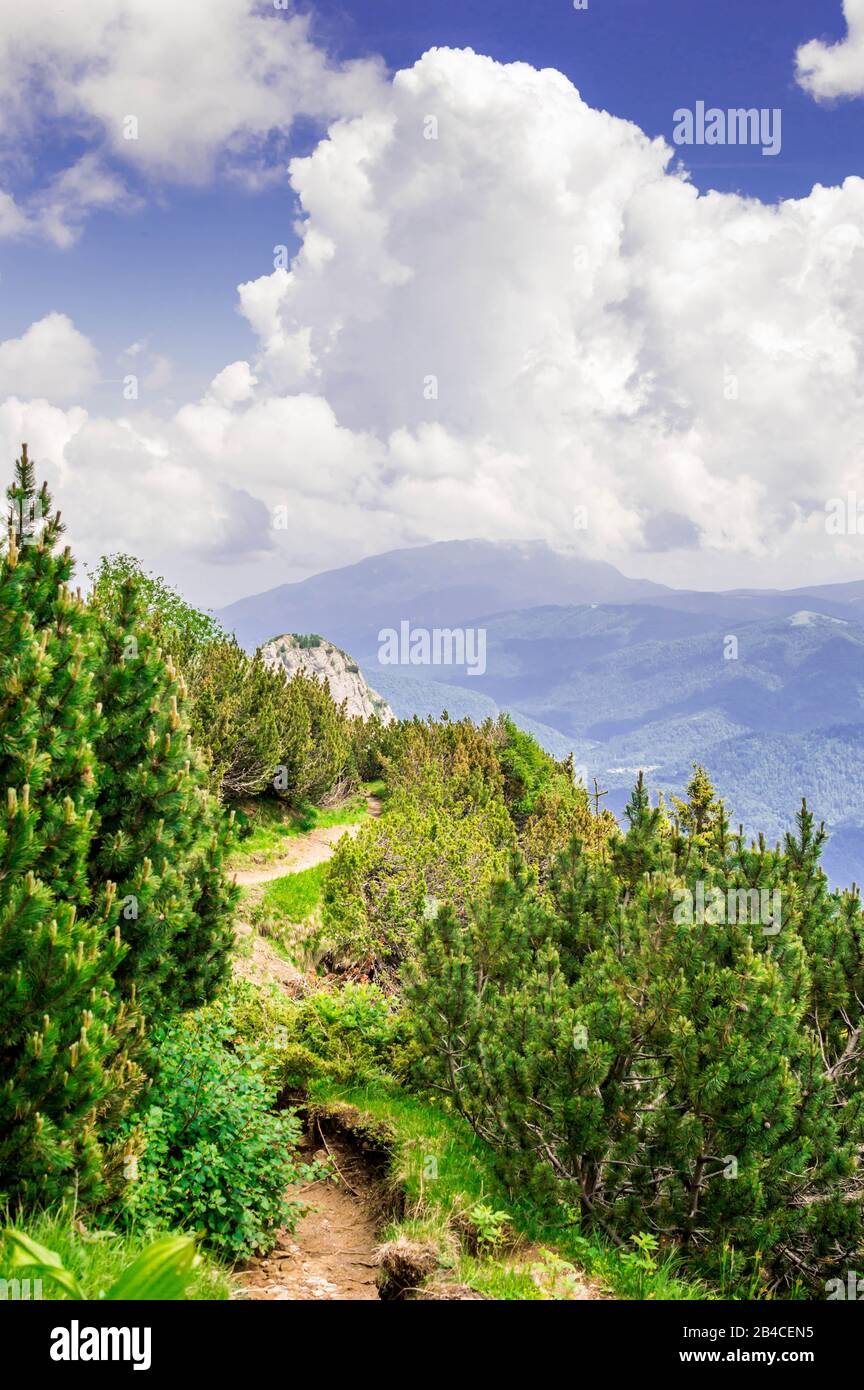Beautiful mountain path in a beautiful landscape Stock Photo - Alamy