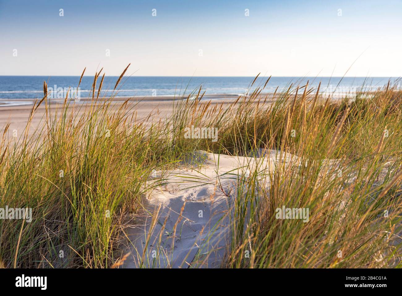 Sandy beach with dunes in Ameland Stock Photo - Alamy