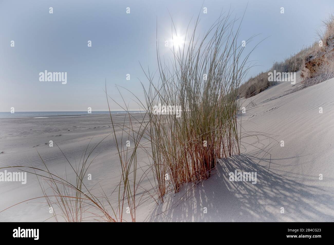 Sandy beach with dunes in Ameland Stock Photo - Alamy