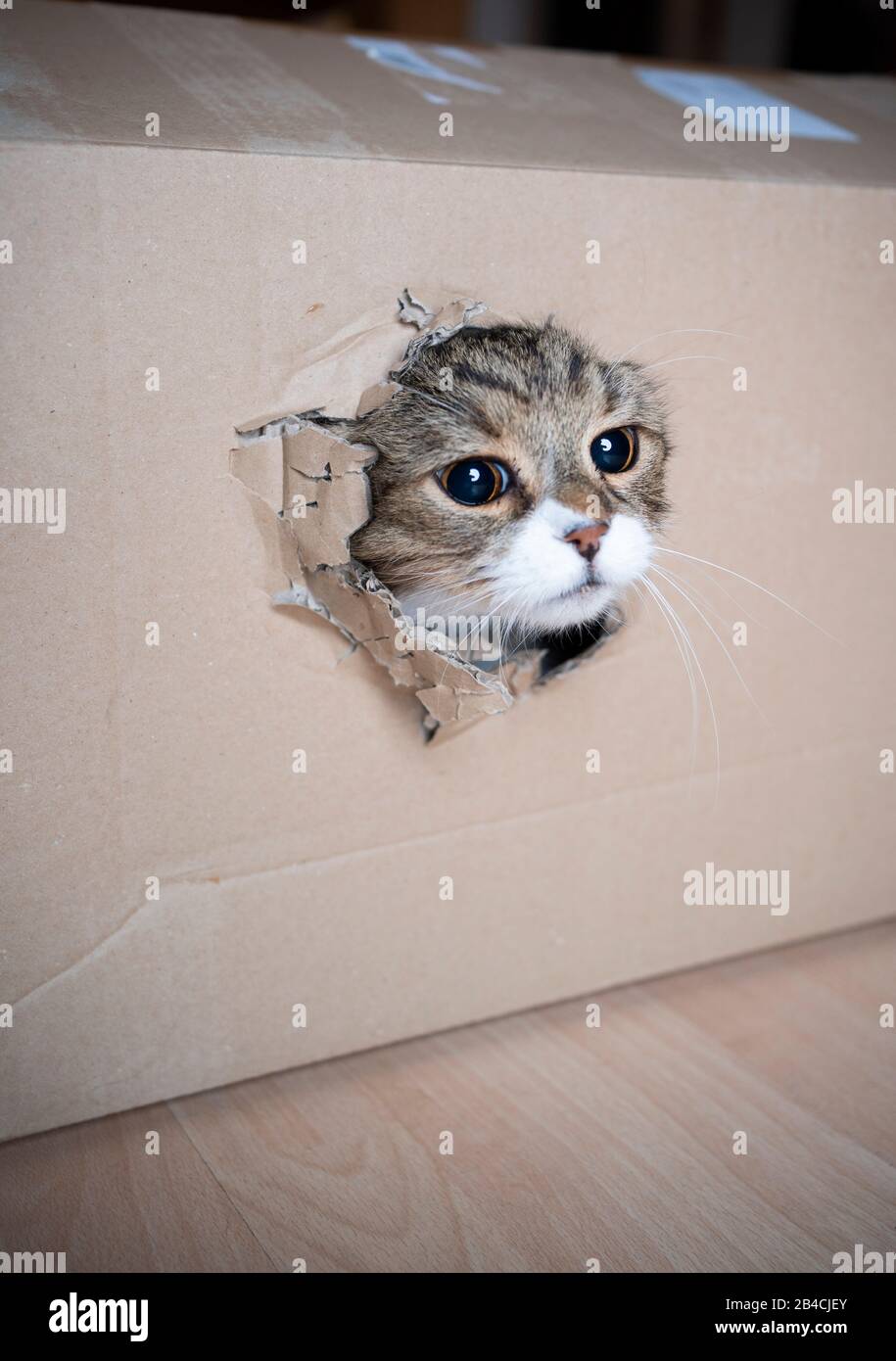 Hole in a box hi-res stock photography and images - Alamy