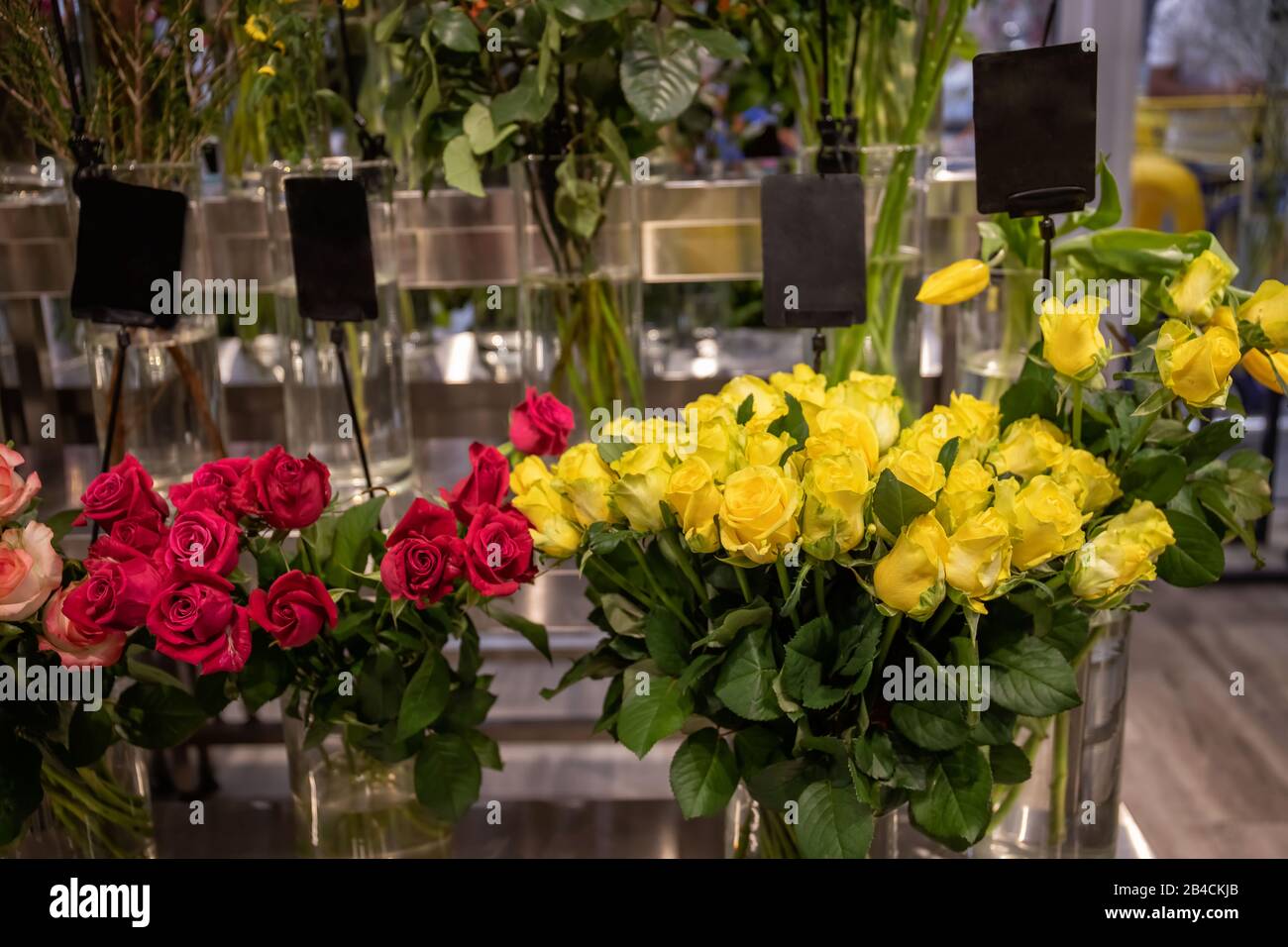 Flora showcase hi-res stock photography and images - Alamy