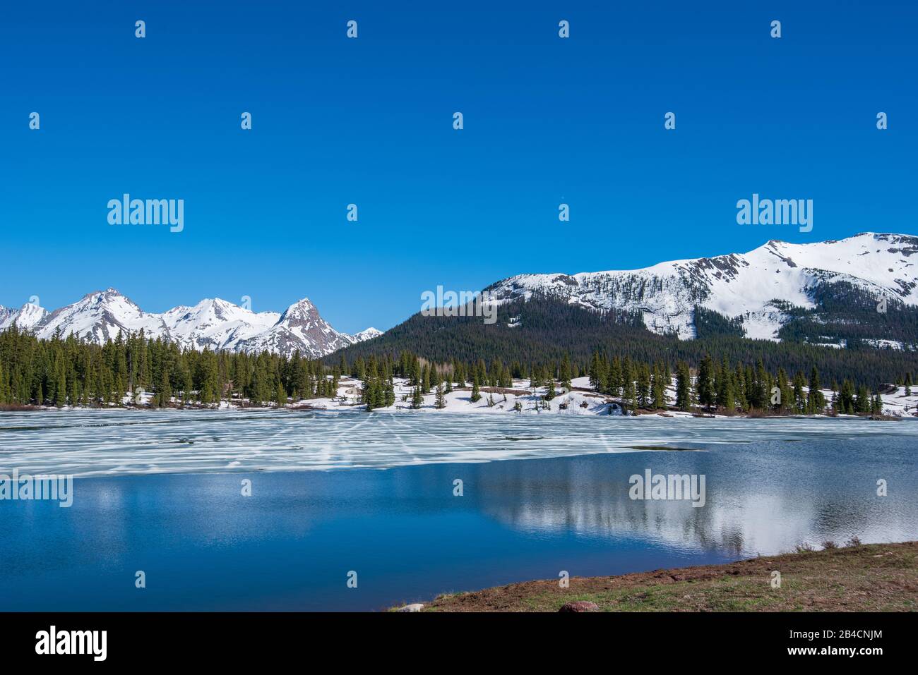 Colorado landscape of melting ice on Molas Lake, with trees and snow ...