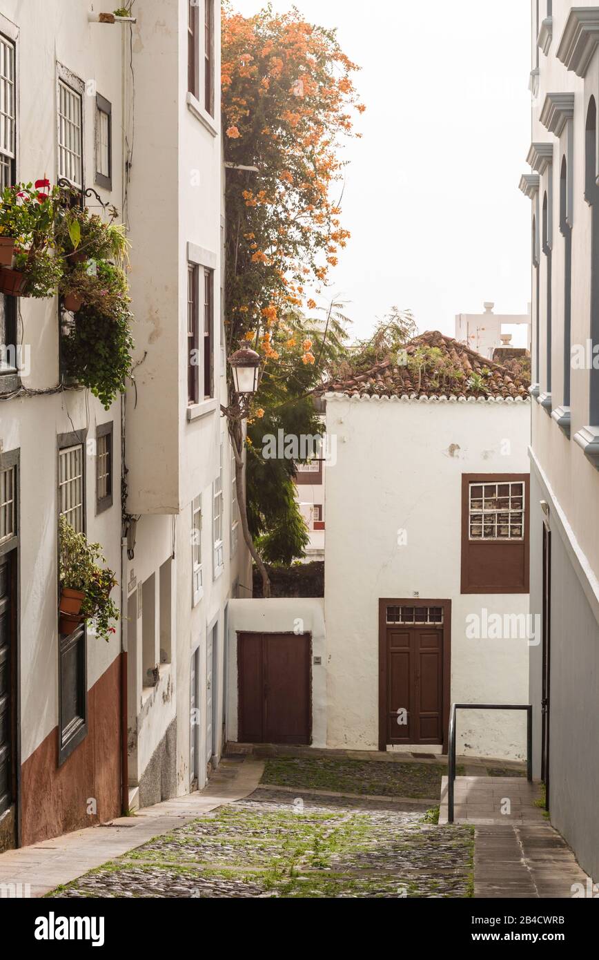 Building detail central santa cruz hi-res stock photography and images ...