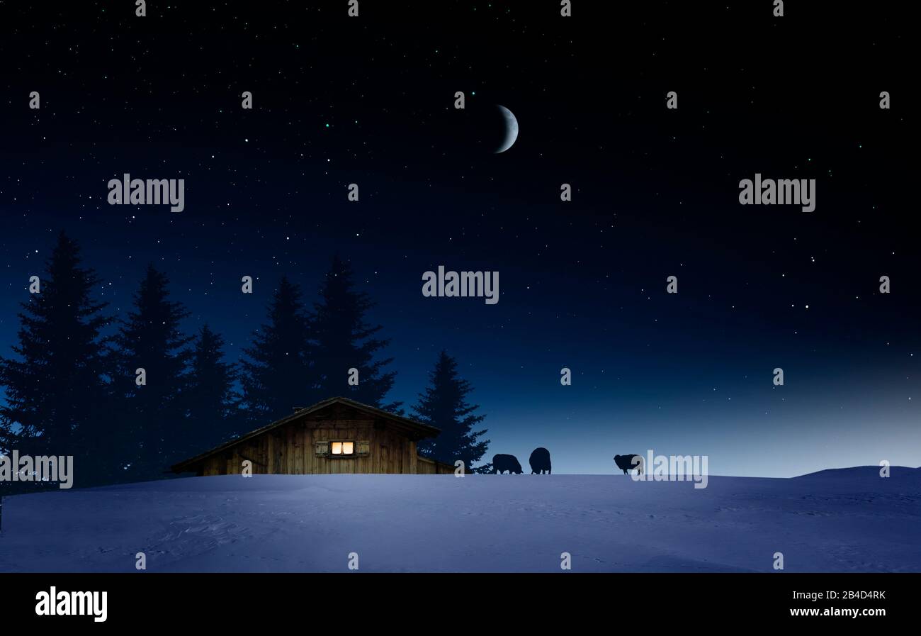 Illuminated sheep hi-res stock photography and images - Alamy