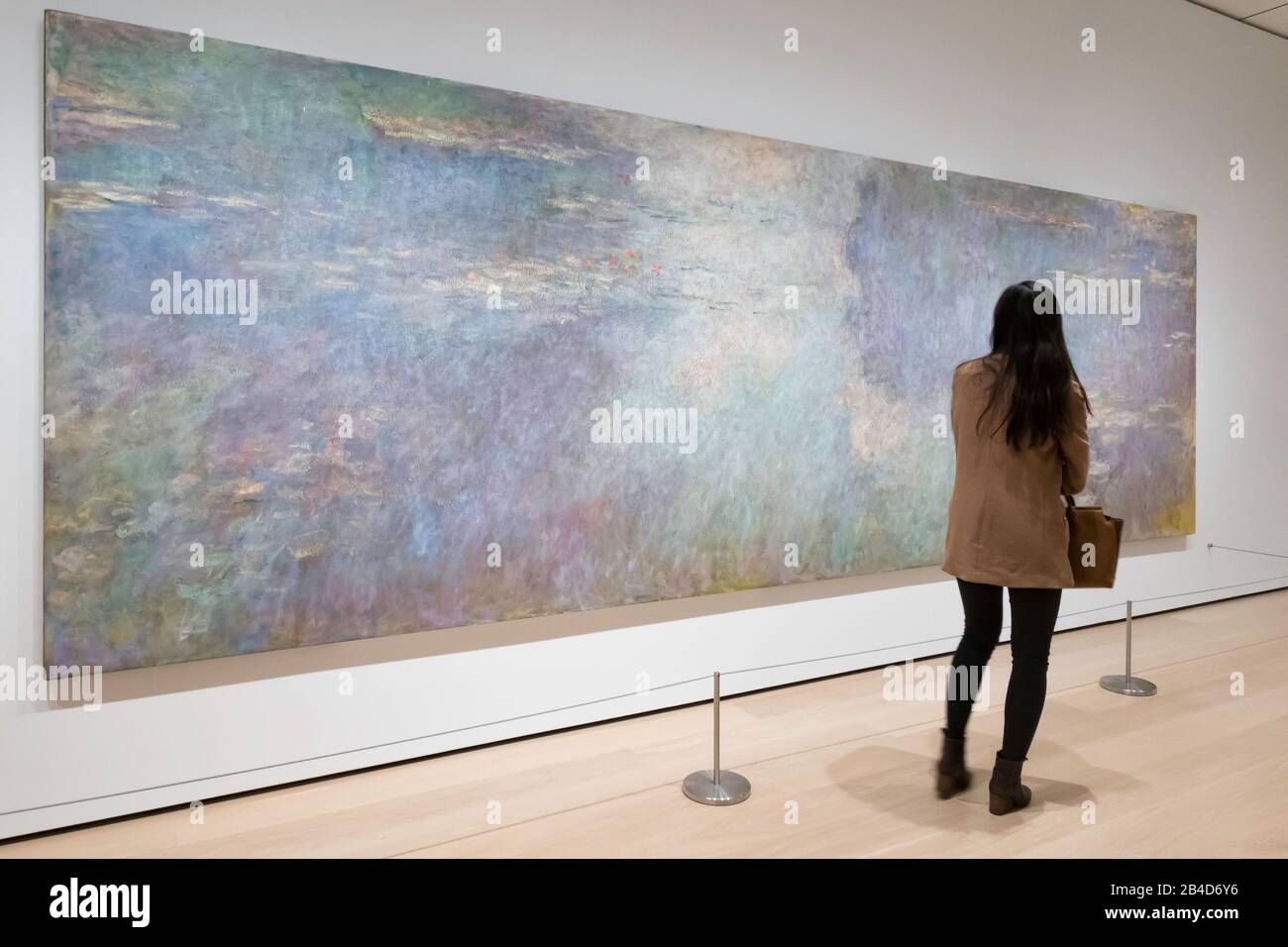 Monet Water Lilies Moma
