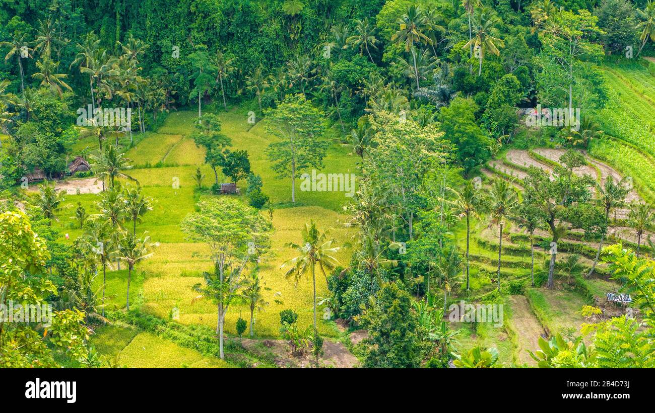 Indonesia rural small town hi-res stock photography and images - Alamy