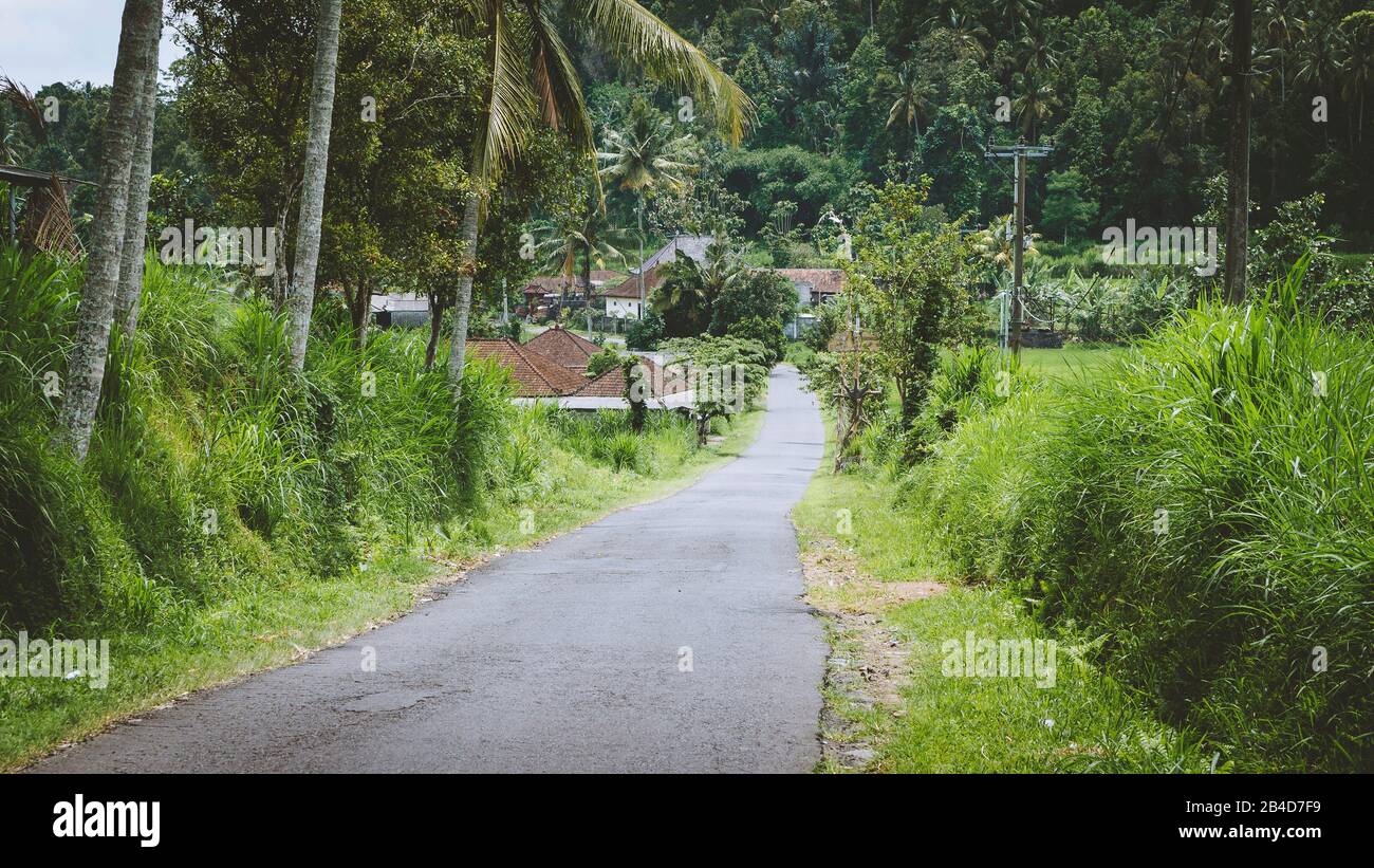 Rural road on sunny day in Sediment District, Bali Island, Indonesia ...
