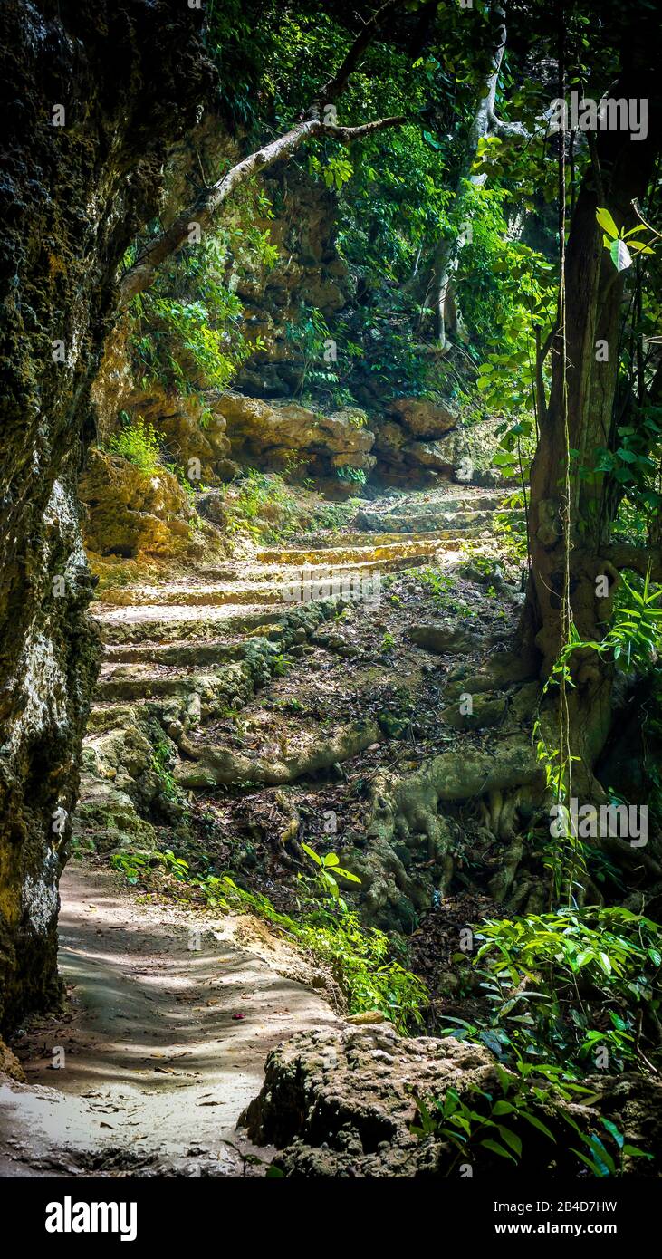 Stone staircase leading through tropical forest to Tembeling Beach ...