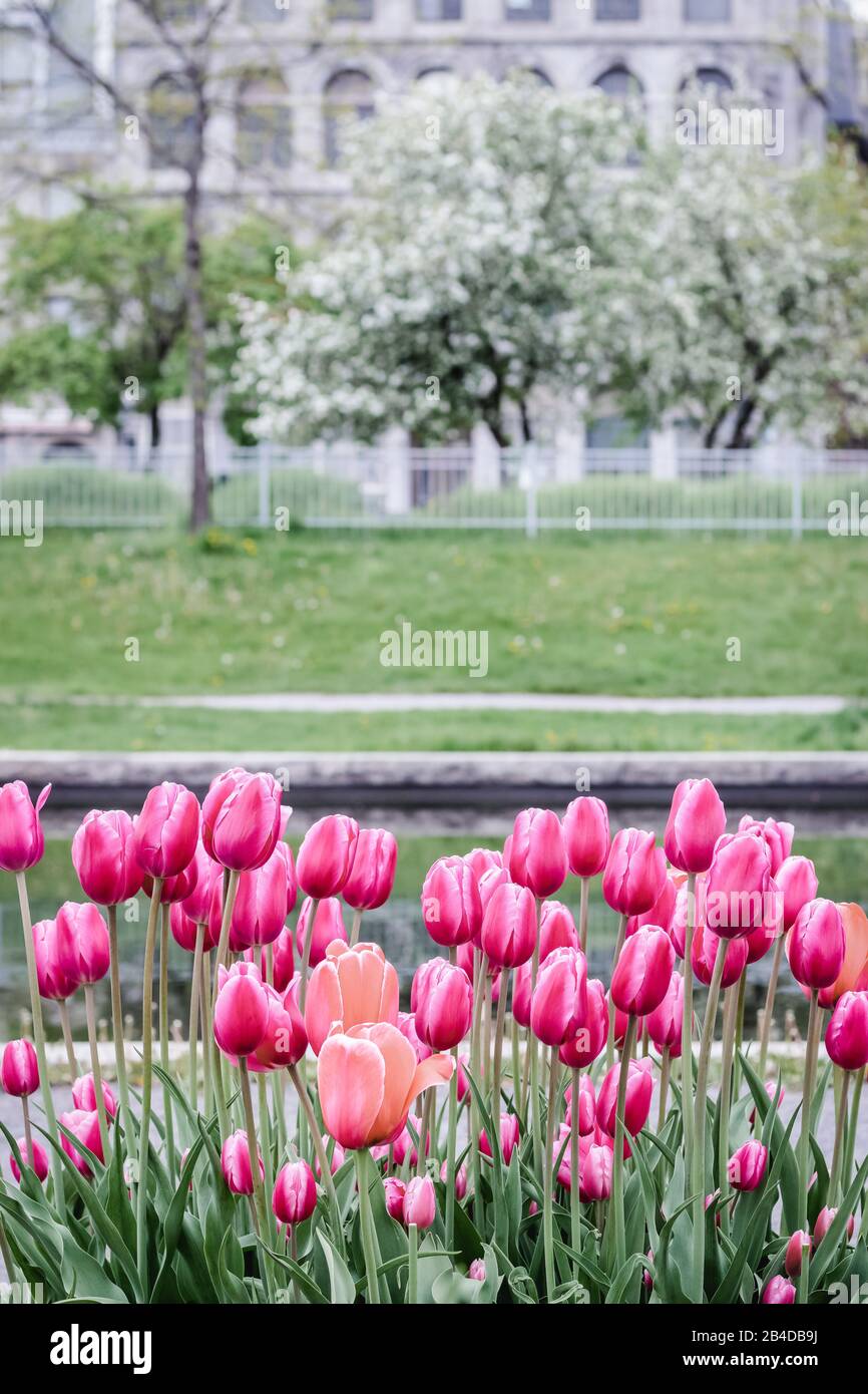 Montreal spring not megapress hi-res stock photography and images - Alamy