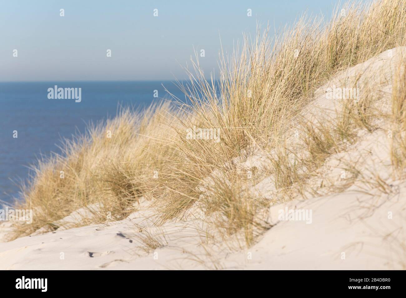 Europe, Netherlands, Callantsoog: beach Stock Photo - Alamy