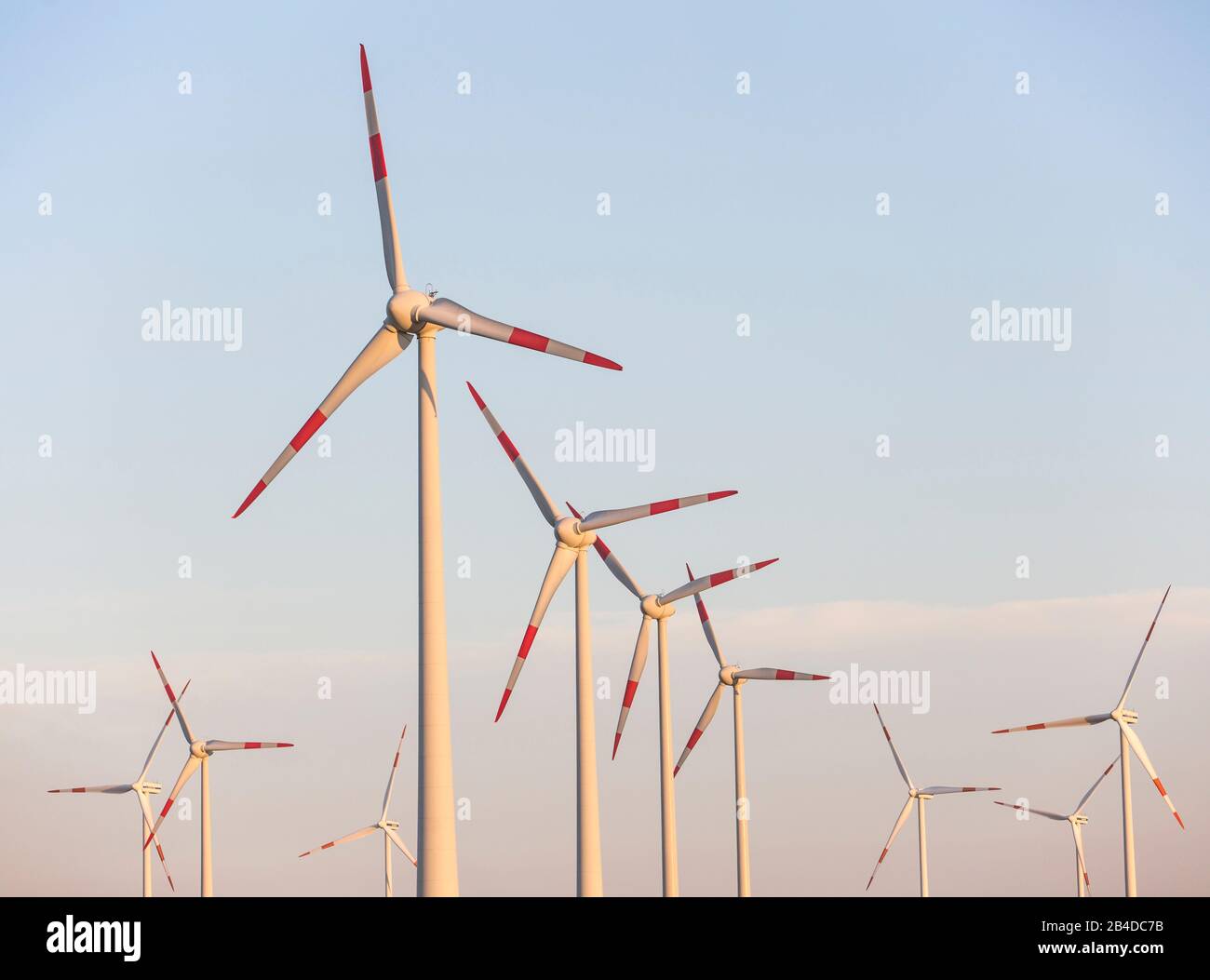 Light wind no hi-res stock photography and images - Alamy