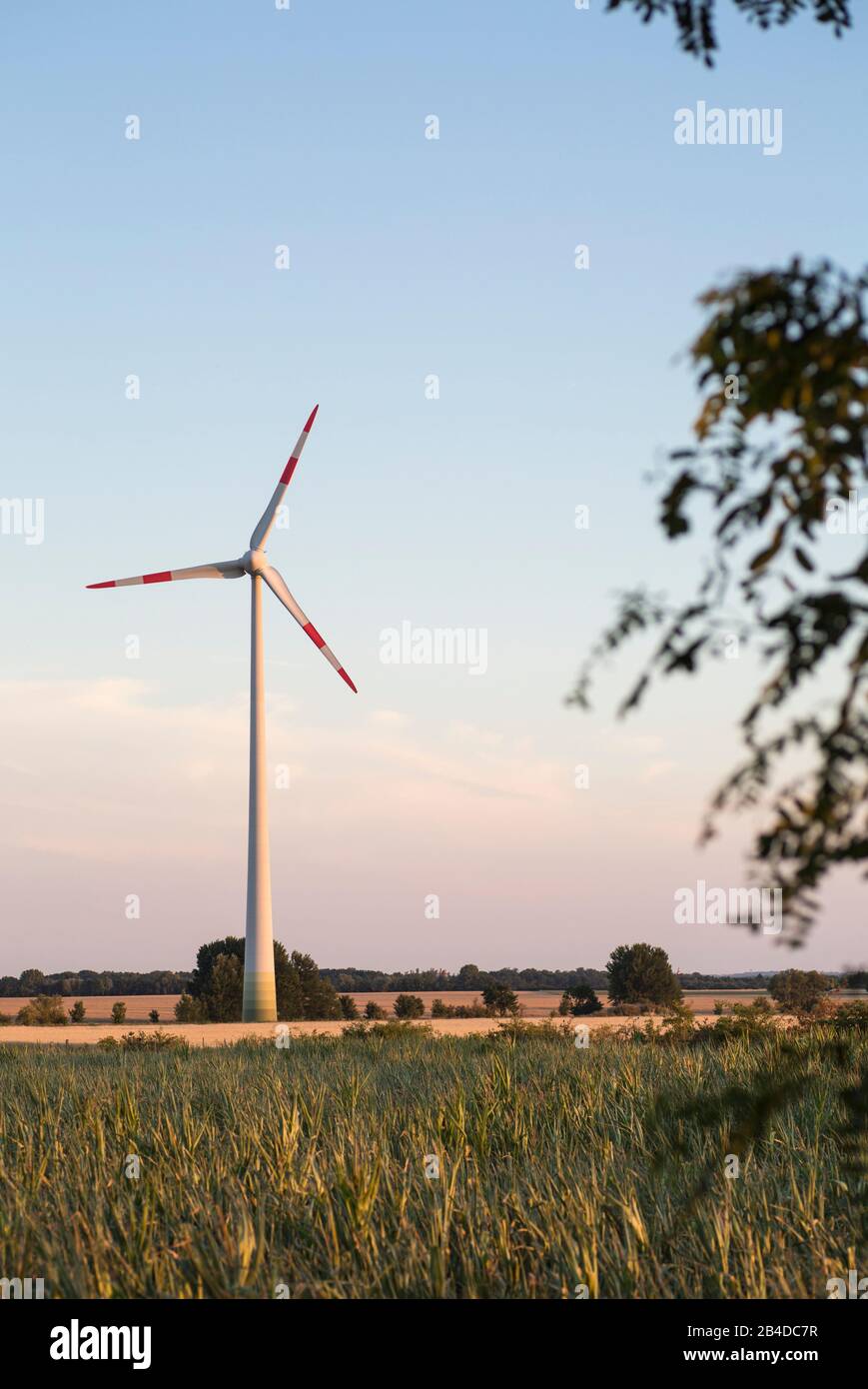 Light wind no hi-res stock photography and images - Alamy